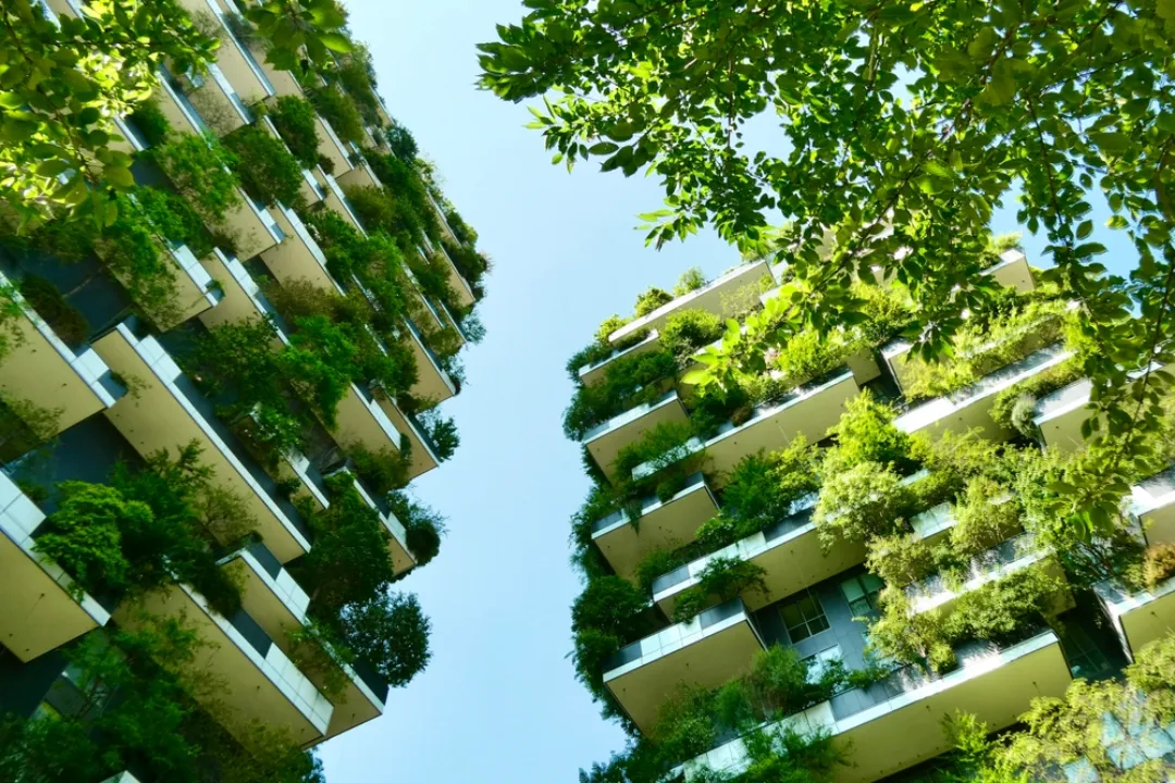 The Future of Green Buildings: Key Sustainability Trends in Construction